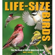 Peterson Field Guides: Peterson Field Guide to Birds of Eastern ...