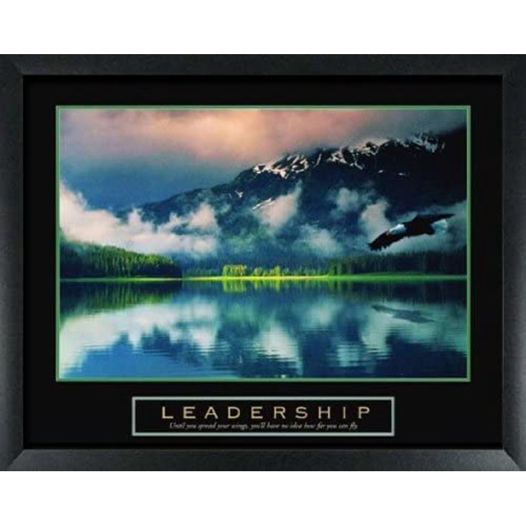 Framed Motivational Posters