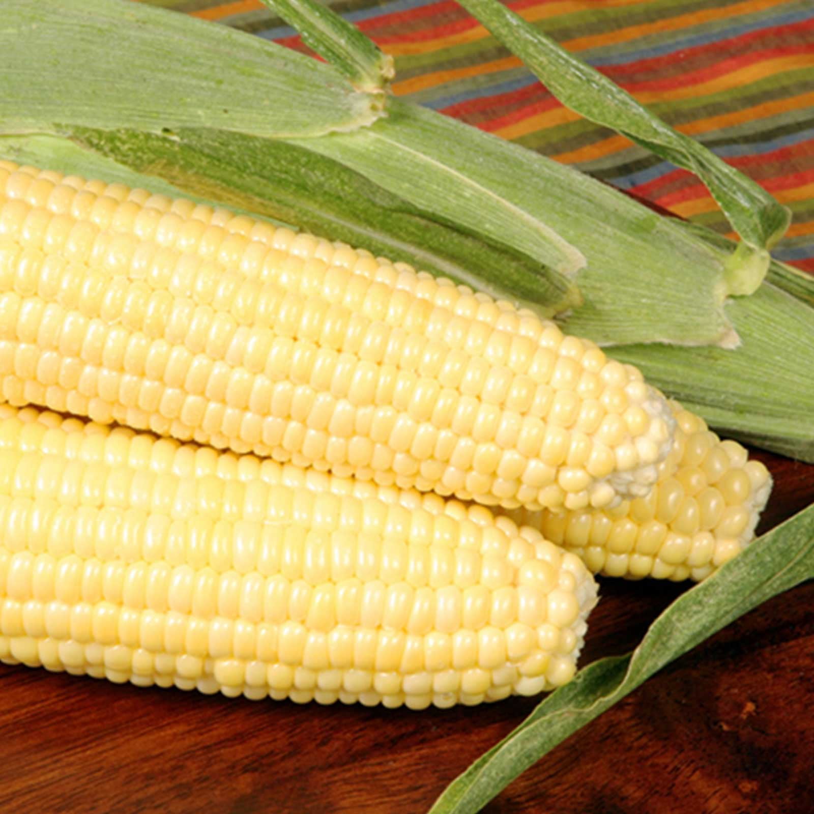 Bodacious R/M Hybrid Corn Garden Seeds (Treated) - 1 Lb - Non-GMO, SE ...