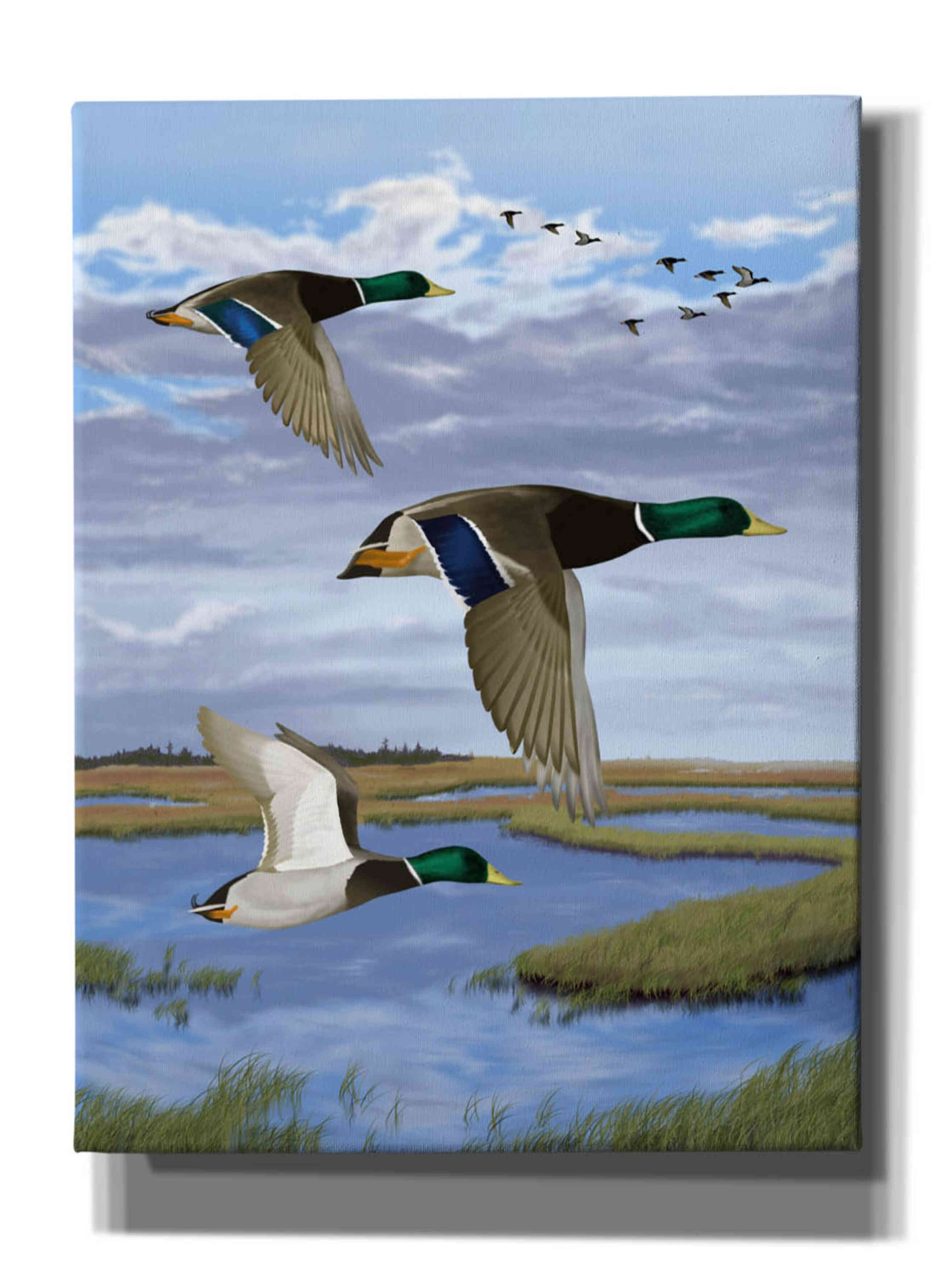 Epic Graffiti 'Salt Marsh Mallards' by Chris Dobrowolski, Canvas Wall Art, 12"x16" - Walmart.com