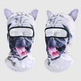Cat Ski Mask Balaclava With Ears Animal Ski Mask For Music Festivals ...
