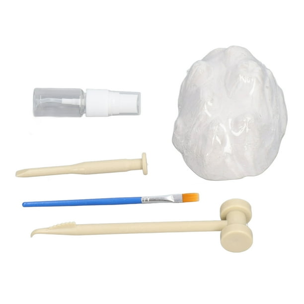 Archaeological Excavation Kit, Excavation Dig Kit Complete Tools Easy ...