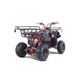 "Tao Motor Youth Gas Quad D125 107cc 4-Stroke Kids ATV with 7"" Wheels ...