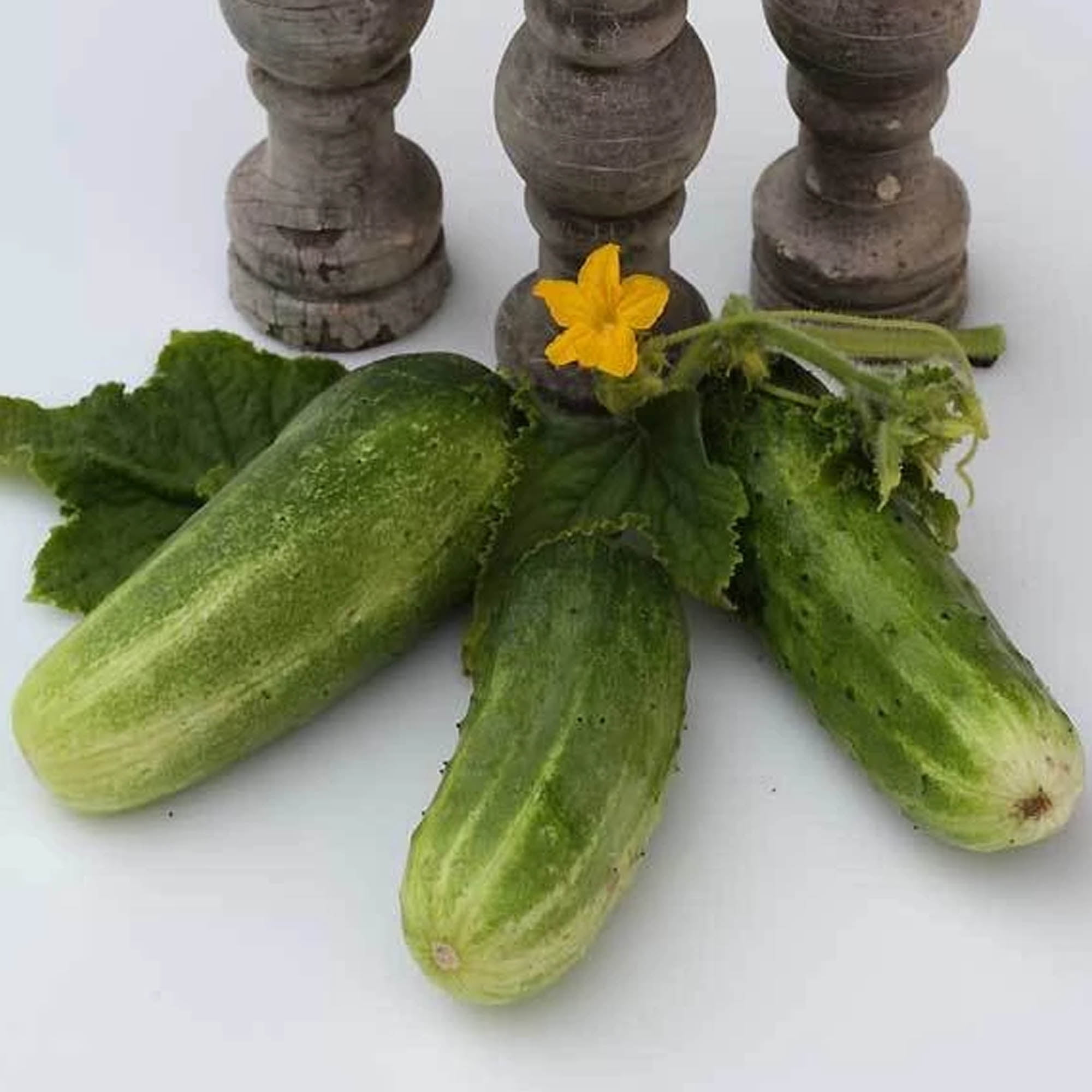 Double Yield Cucumber - 1 g ~30 Seeds - Heirloom, Open Pollinated, Non ...
