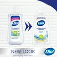 Dial Antibacterial Aloe Hand Soap, White Tea, 11 fl oz - Walmart.com