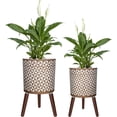 2 Set Plant Pot with Stand 10 & 12 Mid-Century Large Planter with Legs ...