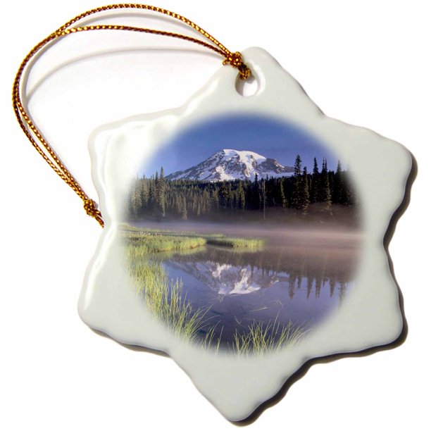 Reflection Ornaments