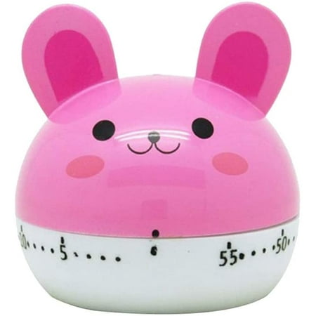 HISRFOCSP Timers for Kitchen Digital Kitchen Timer Countdown Stopwatch ...