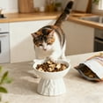 Ceramic Elevated Cat Bowls, Extra Wide Raised Cat Bowls for Food and ...