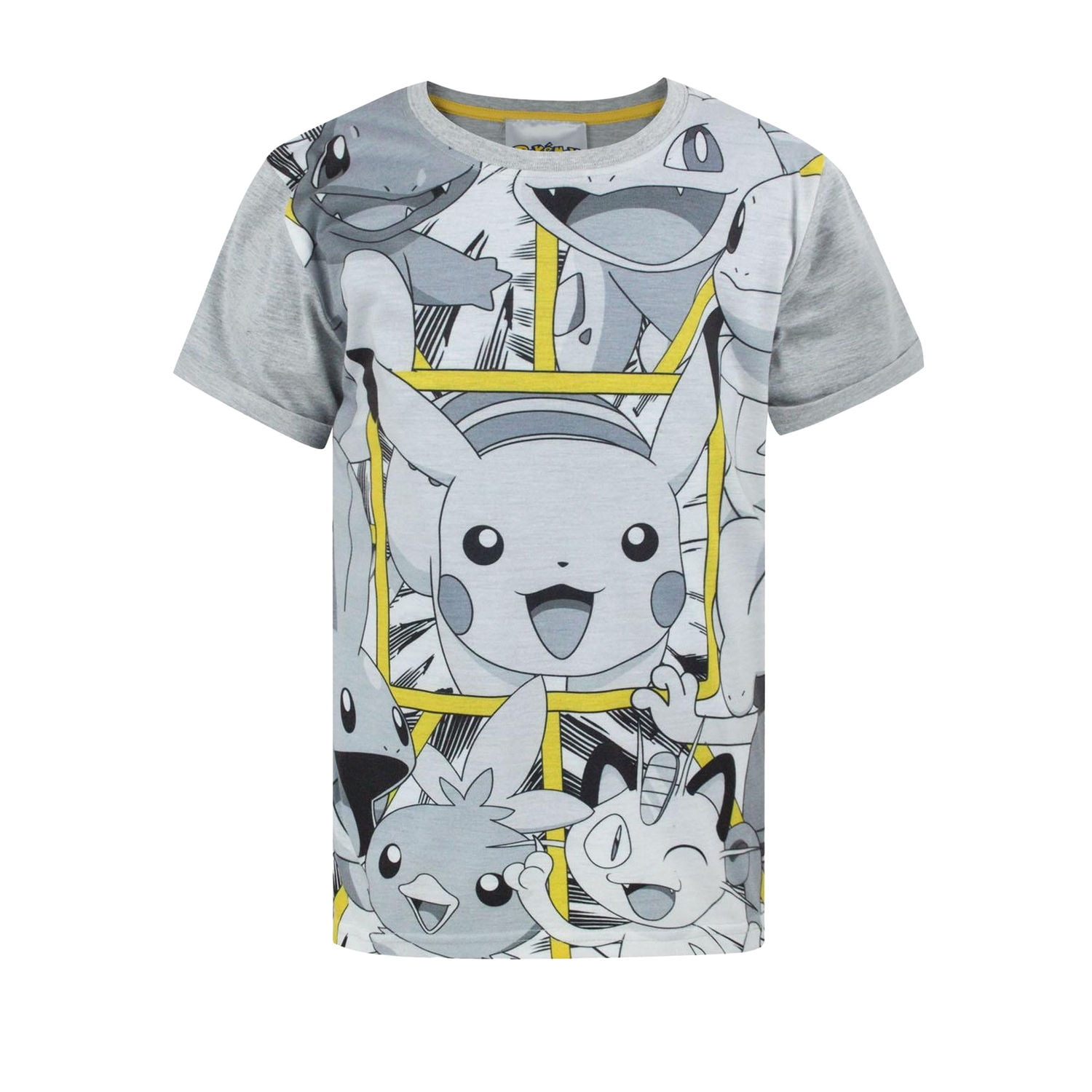 Click here for Pokémon Pokemon Boys Panel T-Shirt 3-4 Years prices