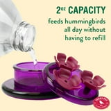 Perky-Pet Purple Hummingbird Handheld & Tabletop Feeder - 2 oz Capacity ...