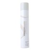 Texture Maker Texturizing Hairspray, By Sebastian Professional - 150 Ml ...