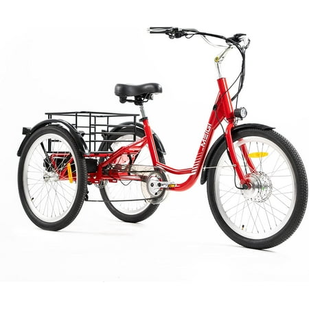 DWMEIGI Adult Electric Tricycles 3 Wheel Electric Bike with 24 Inch ...