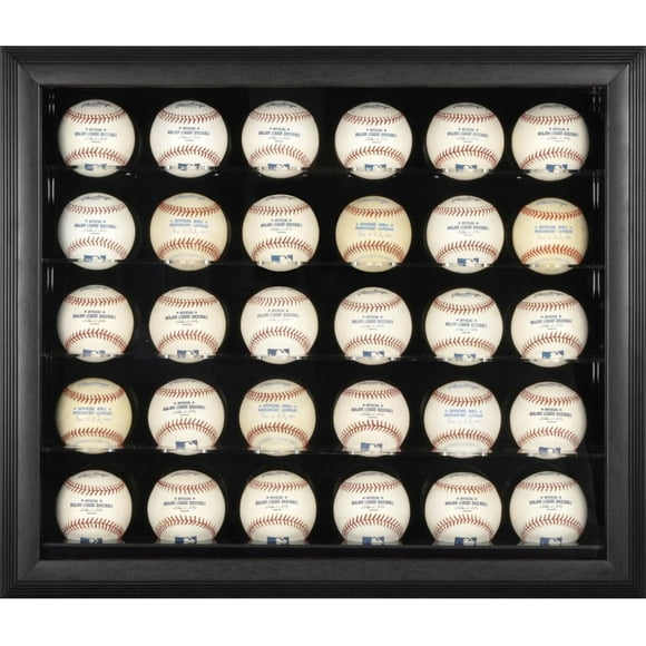 Baseball Display Case