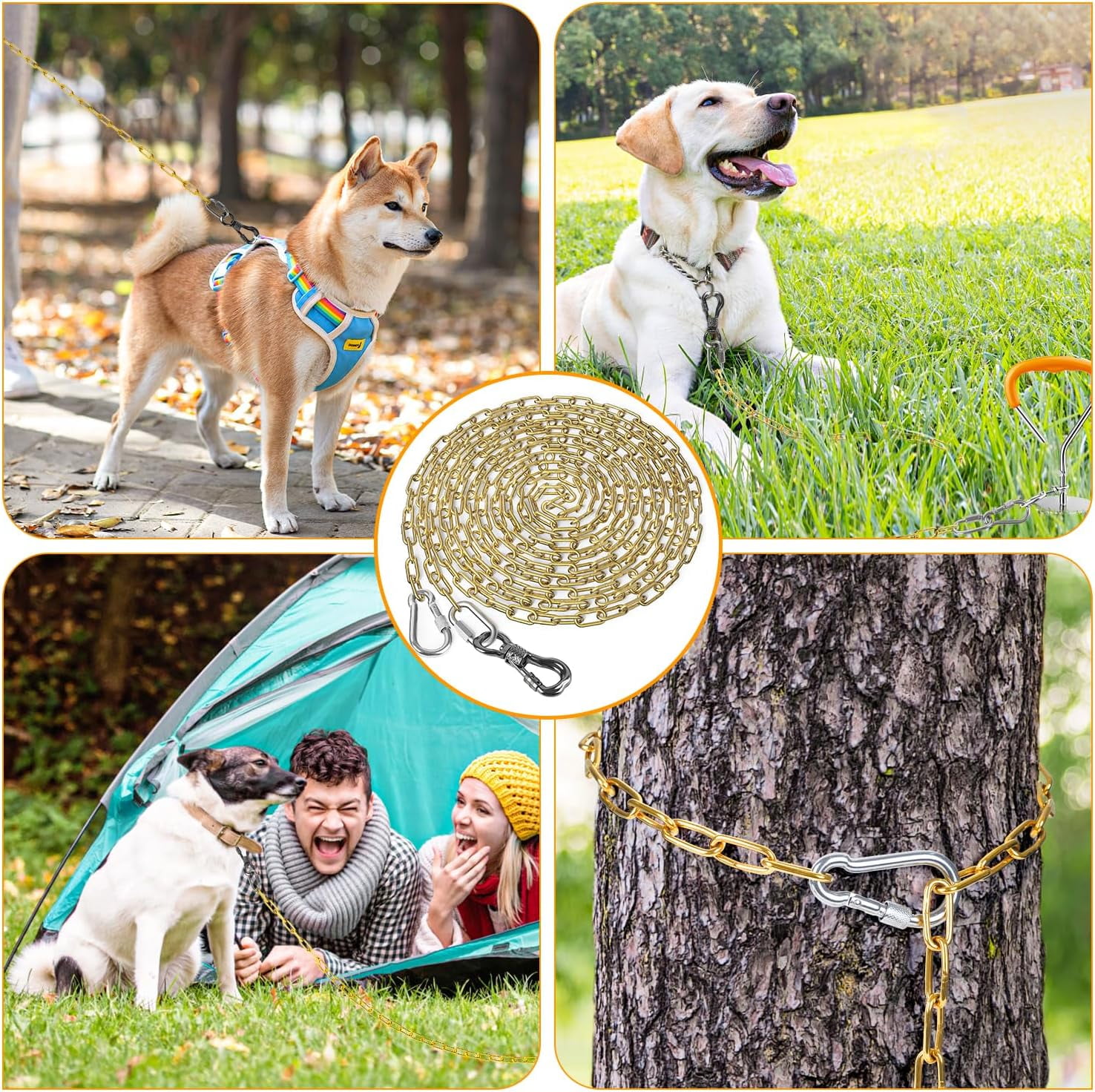 Outdoor dog chain store