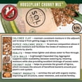Sol Soils Chunky Houseplant Mix - Fast Draining Soil for Indoor Plants ...