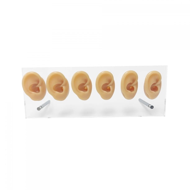 Silicone Ear Models Presentation Model Shelf Pierce Tool Ear Piercing ...