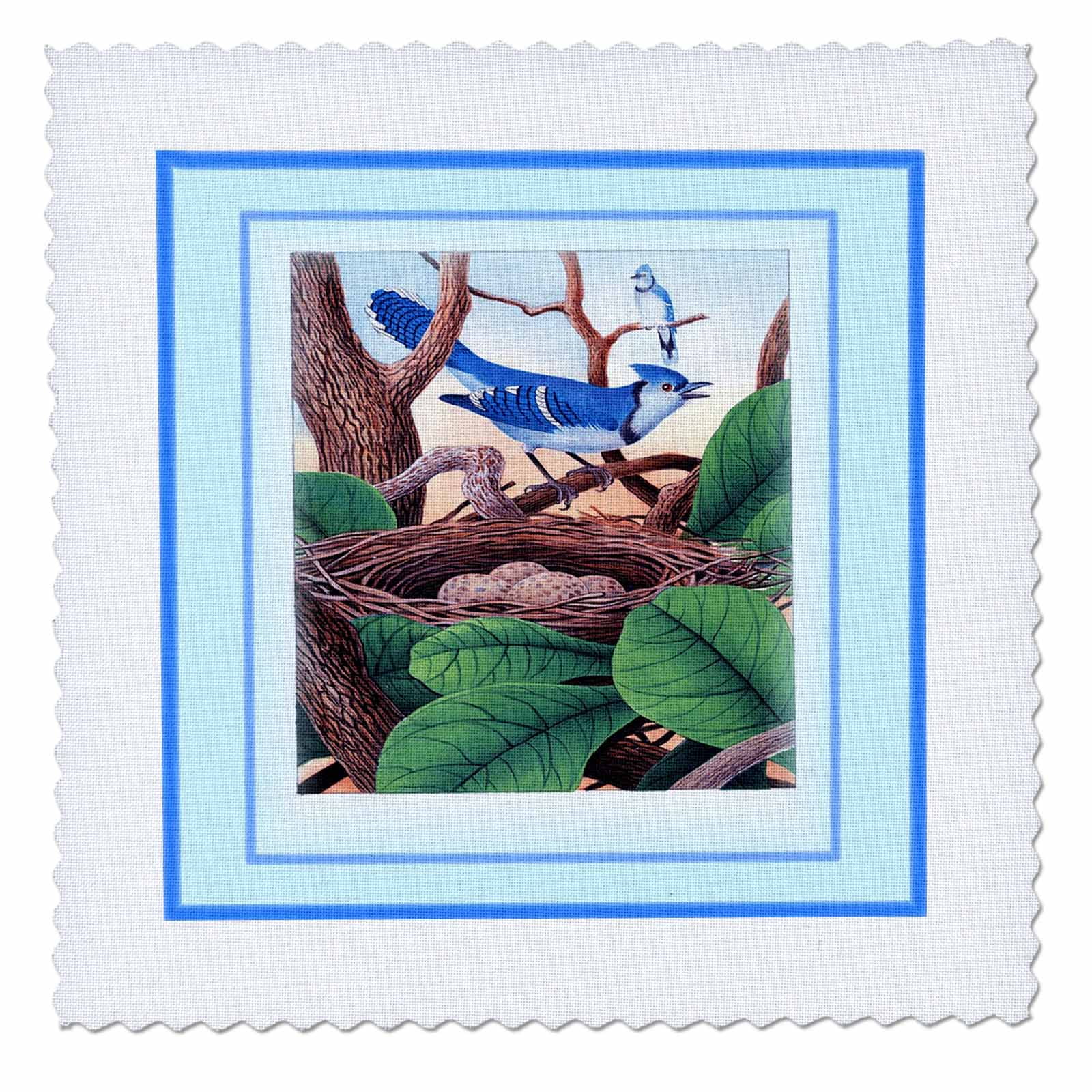 3dRose Framed Photo Of Vintage Blue Jay In Nest With Eggs - Quilt ...