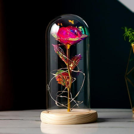 FanShow Beauty And The Beast Rose Forever Infinity Rose In Glass Dome ...