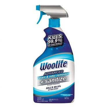 Woolite INSTAclean Carpet Sanitize Spray, Permanent Stain and Odor ...