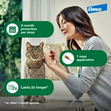 Advantage XD Large Cat 2-Month Flea Prevention For Cats over 9lbs, 2 ...