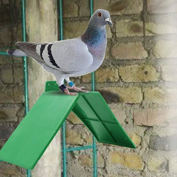 10PCS Rest Stand Plastic Pigeons Bird Stand Perches Nonslip Bird Perch ...