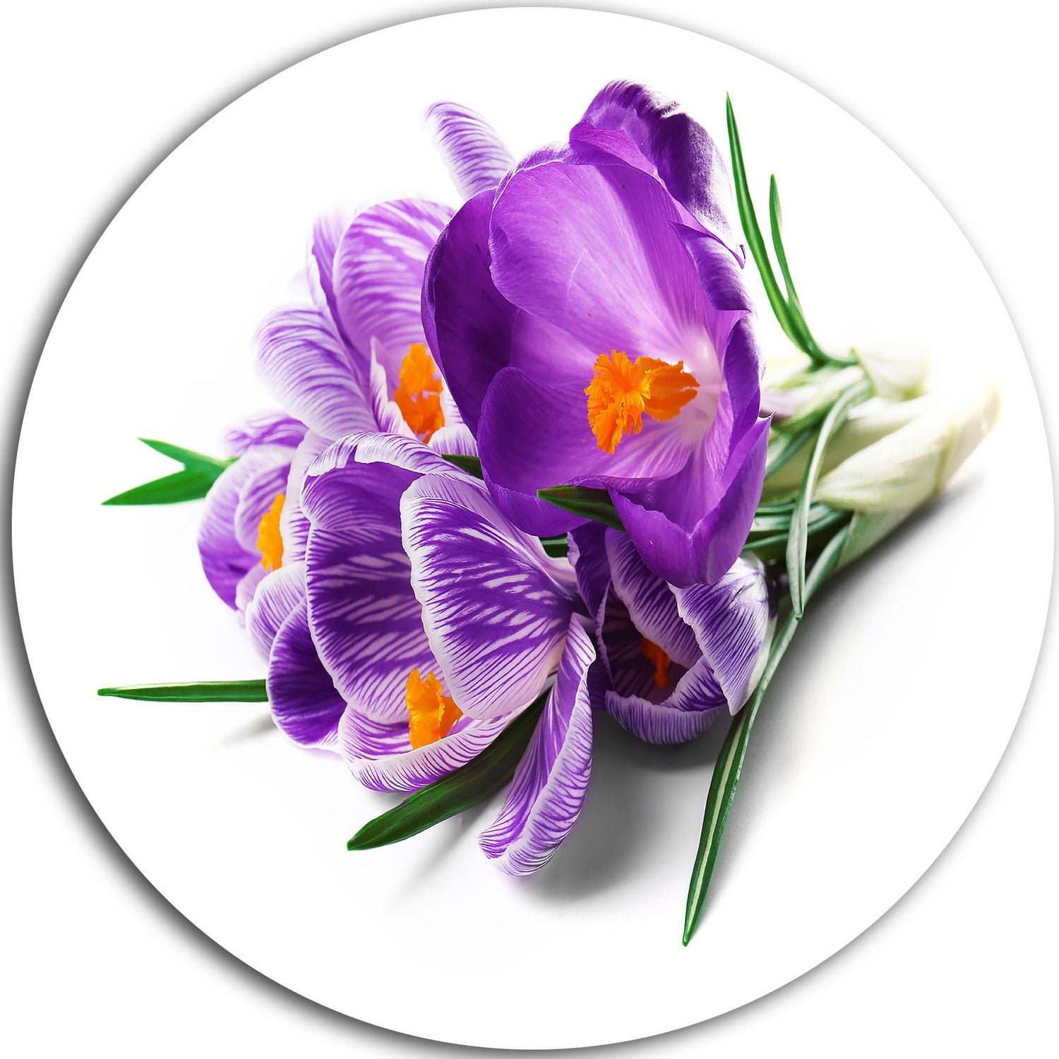 Click here for Designart Design Art Bunch Of Blooming Crocus Flow... prices