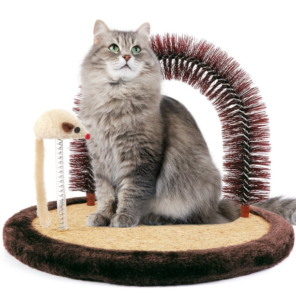 Cat Scratch Toy