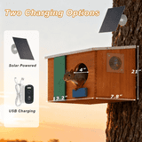 Smart Squirrel House with Camera Solar Powered, 1080P HD Wooden ...