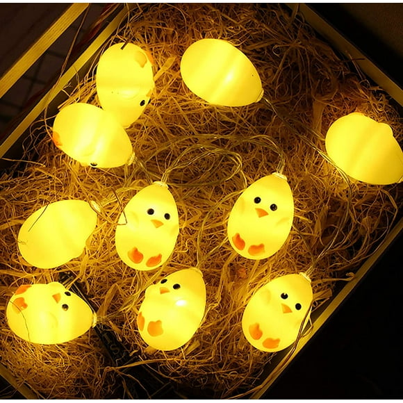 Led Chicken Lights