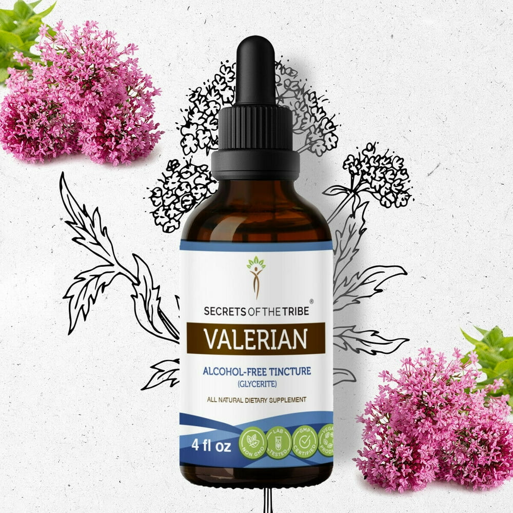 Valerian Tincture Alcohol-FREE Extract, Organic Valerian Valeriana ...