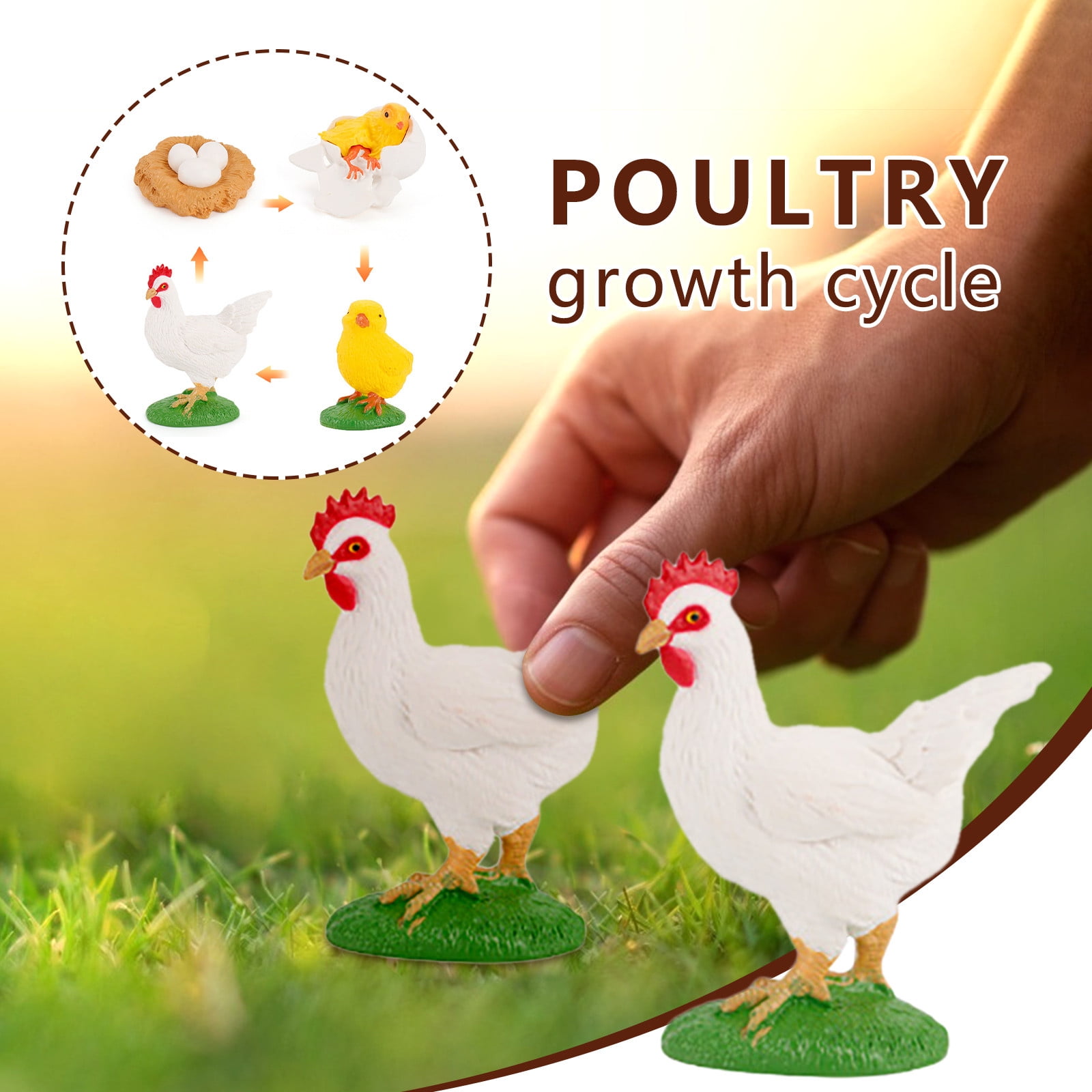 Click here for Cameland 4 Piece Insect Figure Animal Life Cycle P... prices