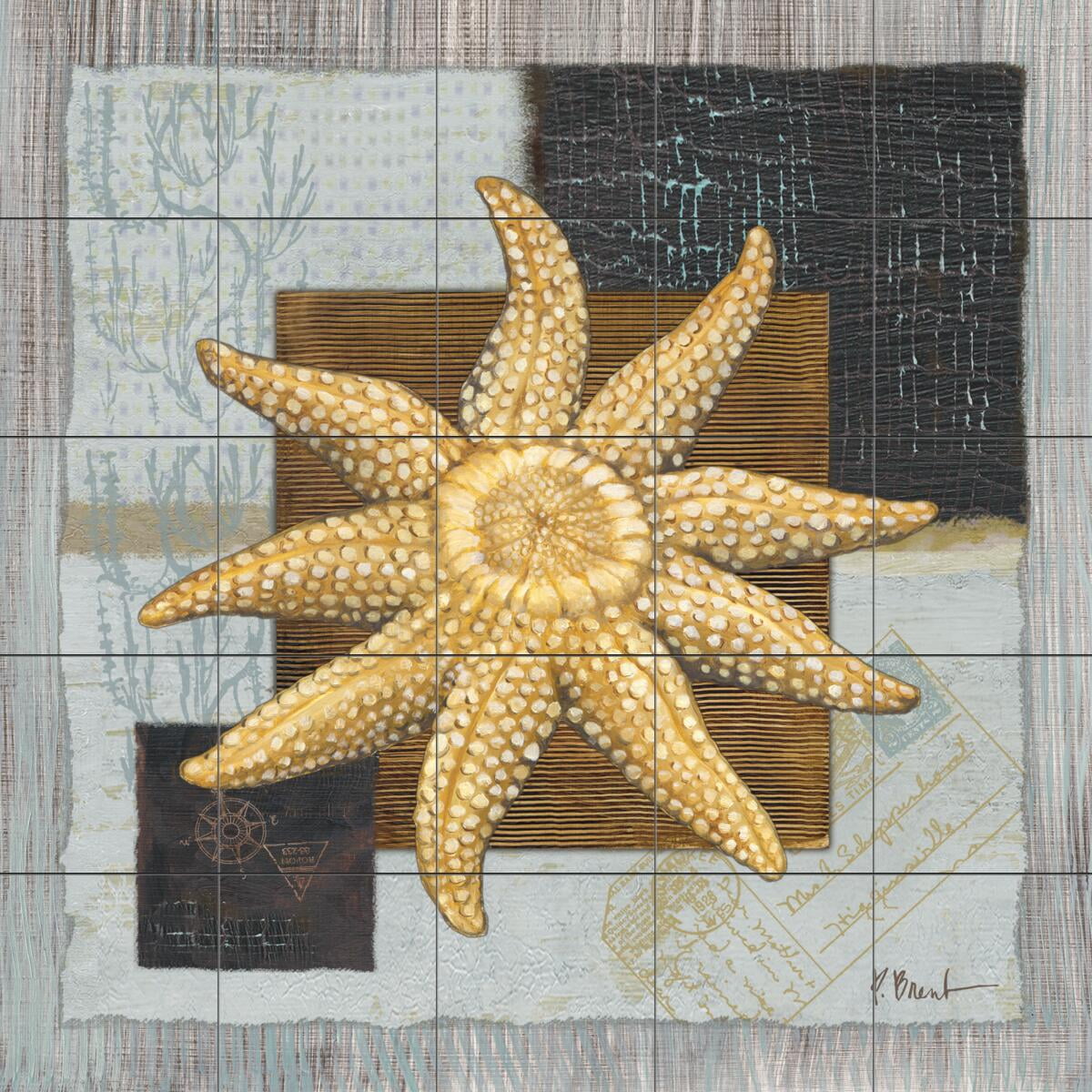 Tile Mural Bathroom Backsplash - Westport Sun Starfish - by Paul Brent ...