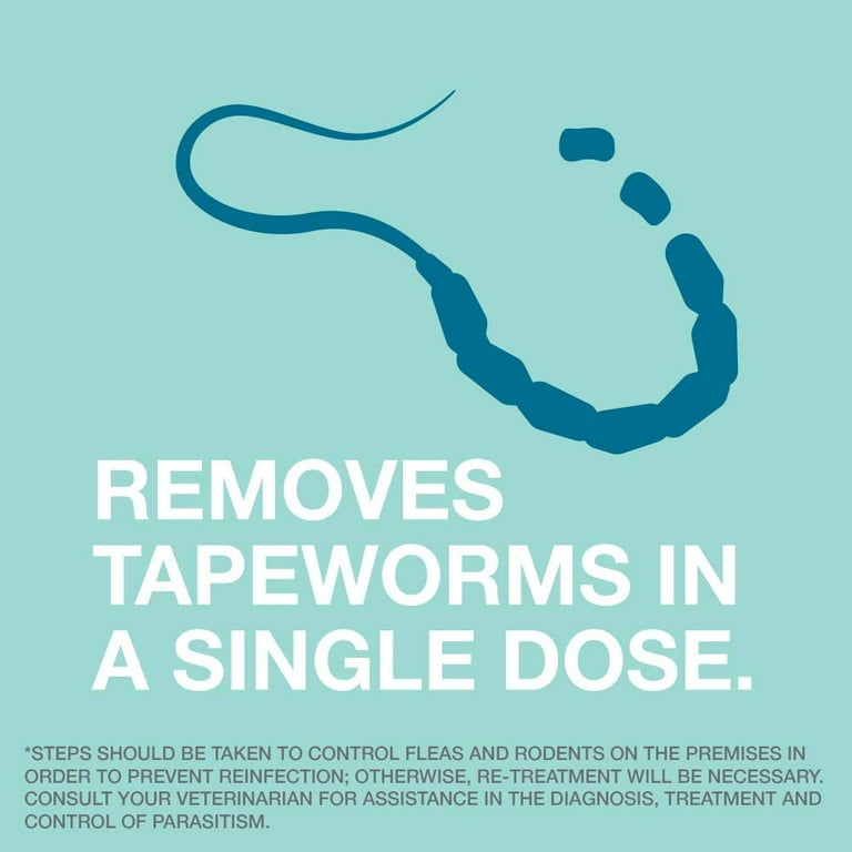 Tapeworm Treatment