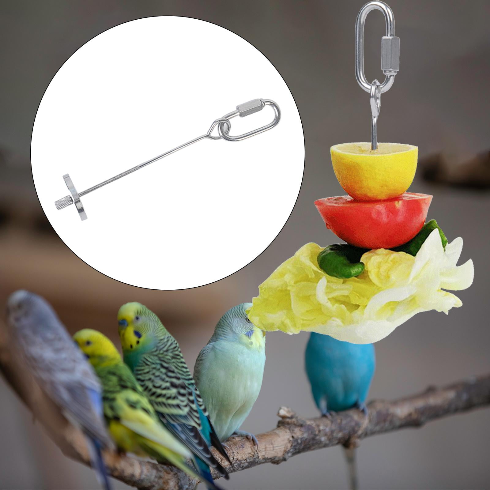 Stainless Steel Vegetable Skewer Bird Feeder Fruit Vegetable Stickes ...