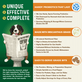 Bernie's Perfect Poop Ultimate Digestive Health Supplement for Dogs ...