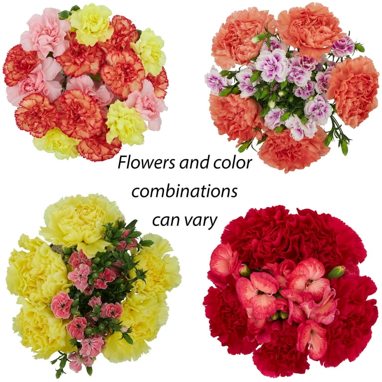 Carnation Flowers Bouquet