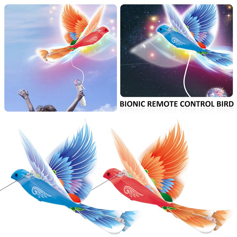 Colorful Flying Birds Pictures