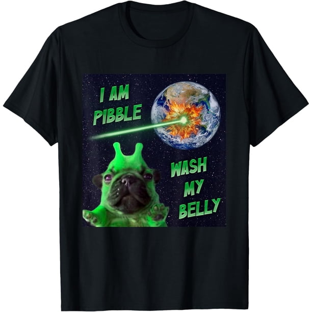 Alien Pibble Funny Brainrot Dog Meme Space I Am Pibble Camiseta ...