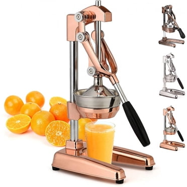 Chrome Heavy-Duty Professional Juicer - Walmart.com
