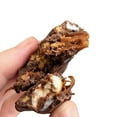 2 Pack of Trader Joe’s S'mores Clusters | 7 Oz - Walmart.com