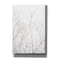 Epic Graffiti 'Gypsophila' by Elise Catterall, Giclee Canvas Wall Art ...