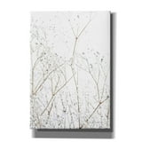 Epic Graffiti 'Gypsophila' by Elise Catterall, Giclee Canvas Wall Art ...