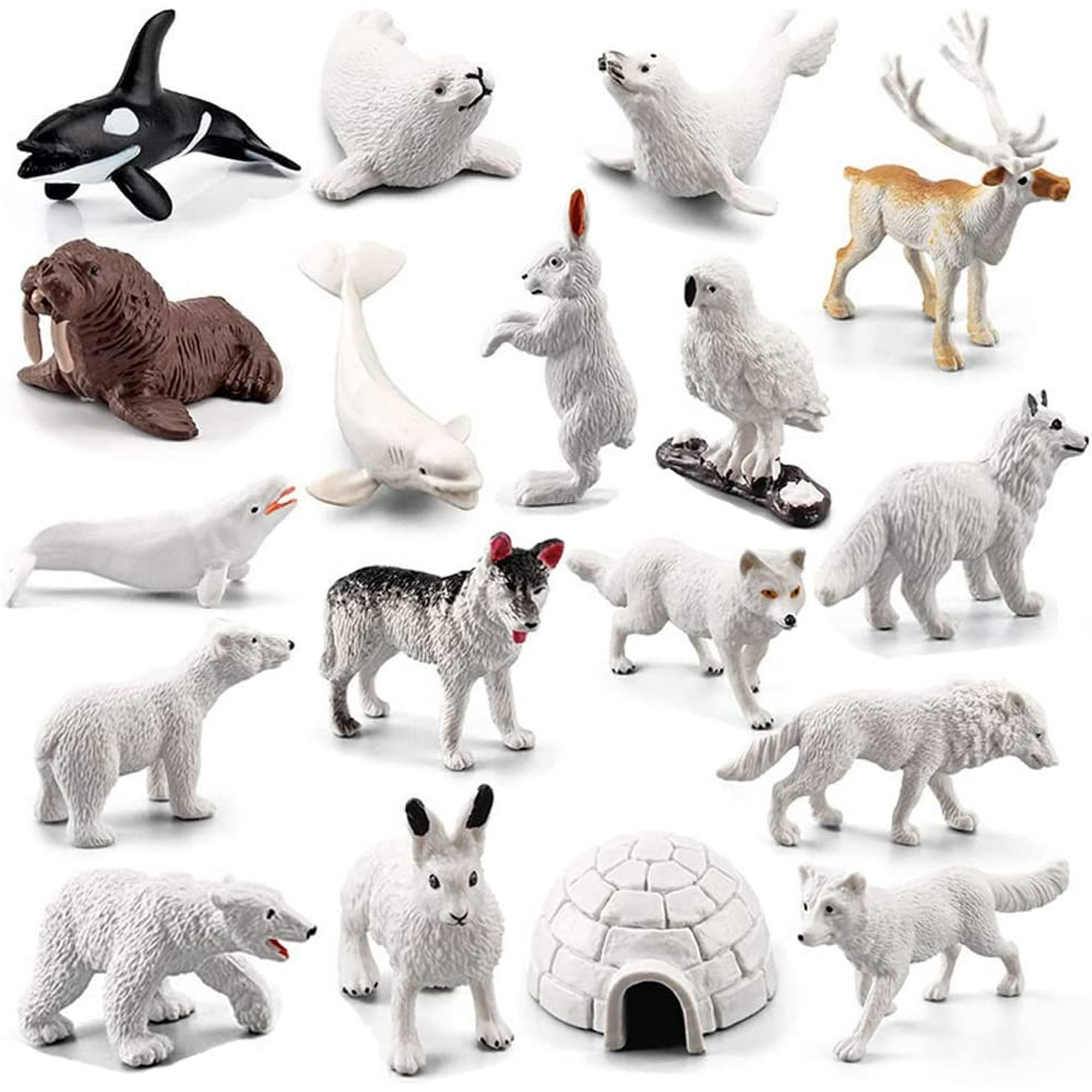 Arctic Fox Habitat Diorama