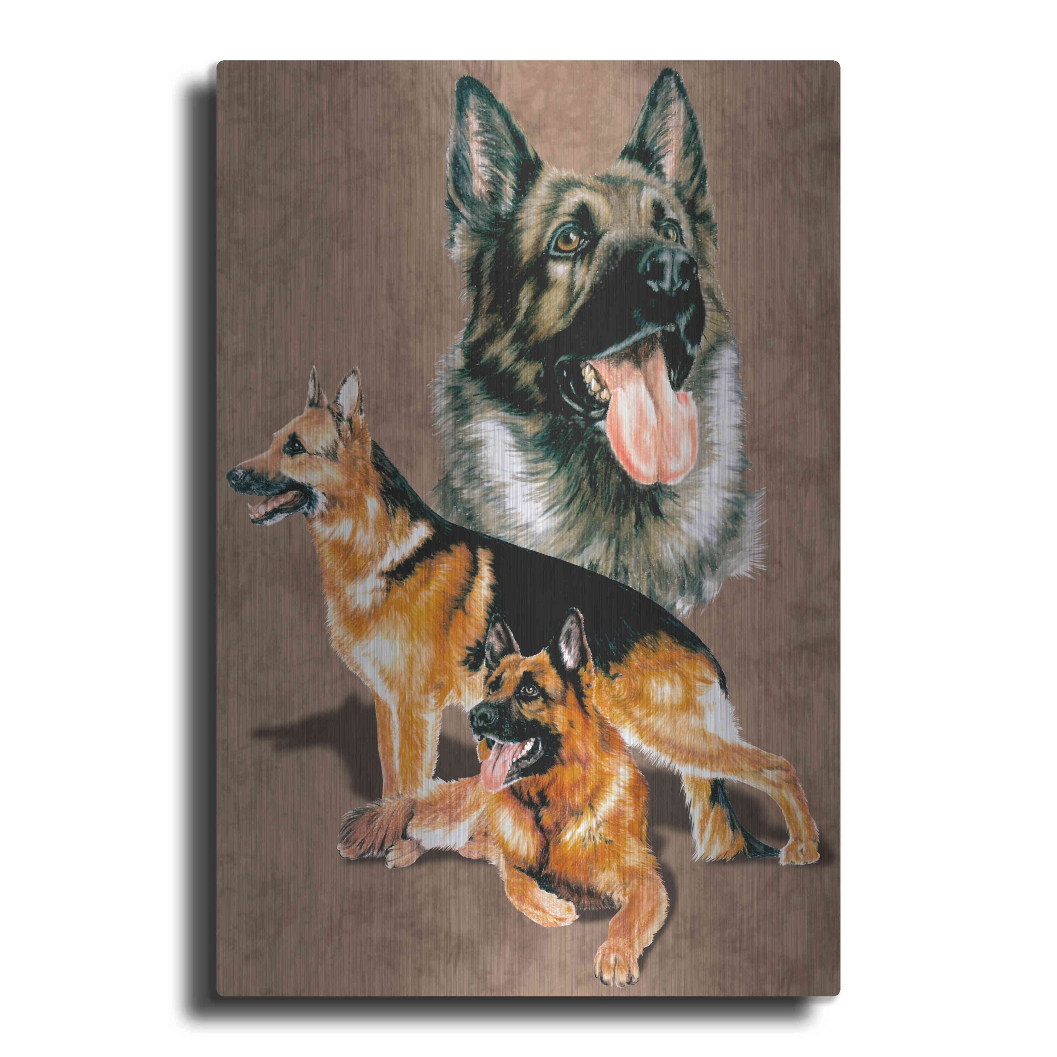 Luxe Metal Art 'German Shepherd' by Barbara Keith, Metal Wall Art, 24 ...