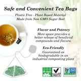 Wild Bliss Organic Burdock Root Herbal Tea – Caffeine Free Daily ...