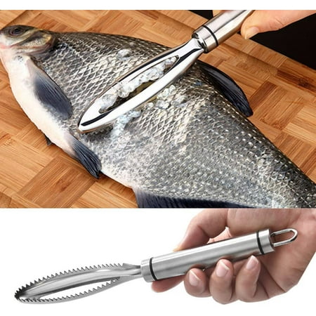 Efficient Fish Scales Scraping Stainless Scaler For Fish Cleaning Tools ...
