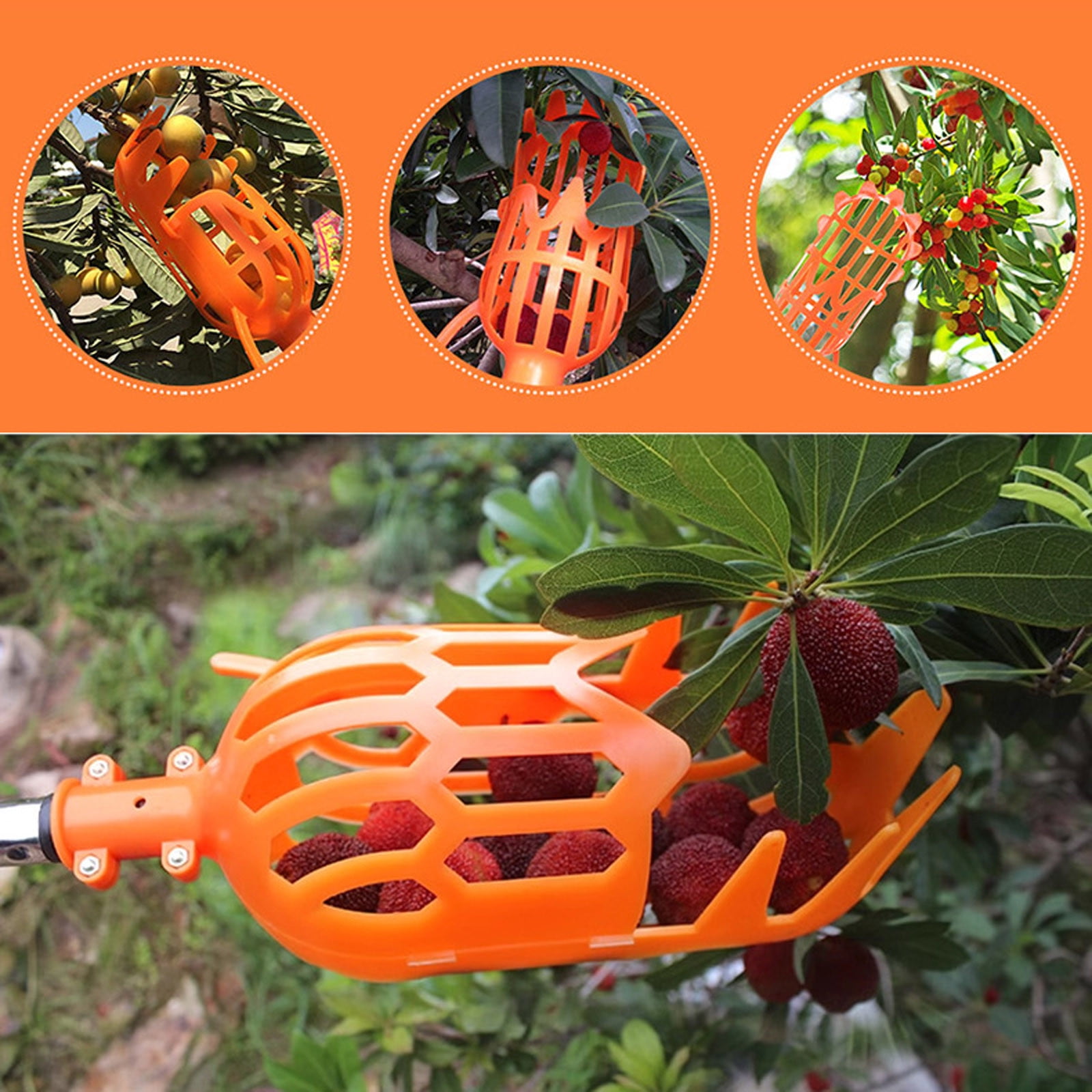 Toll Set Dwmt81534 Fruit And Pole Lightweight Aluminum Fruit Picking ...