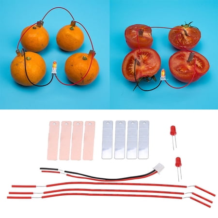 Easy To Assemble DIY Fruit Battery, Children DIY Fruit Battery, Circuit ...