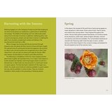 Southwest Foraging - Paperback - Walmart.com